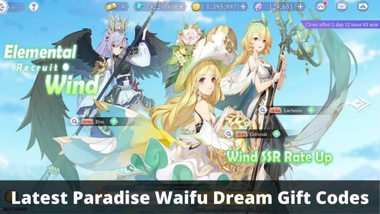 Paradise Waifu Dream Gift Codes (June 2026) - TECHFORNERD